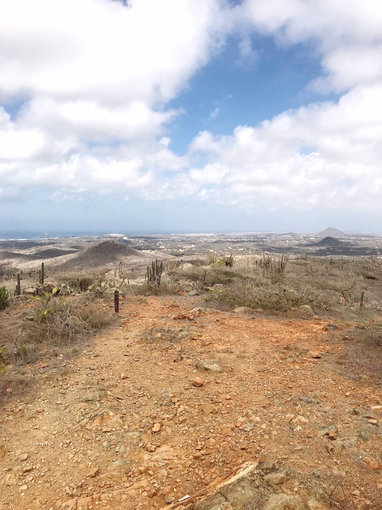 best things to do in aruba