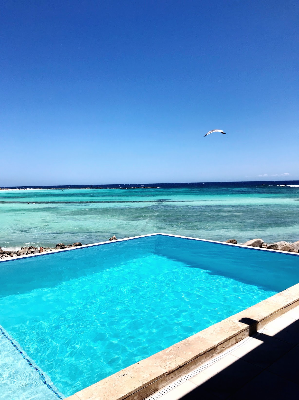 best things to do in aruba - Emjacquelyn